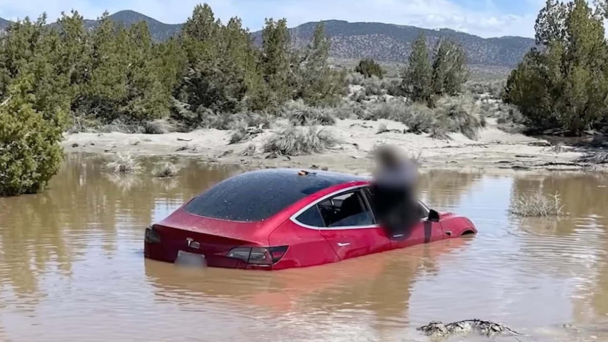 Tesla Model 3 plunges into flood while driving on autopilot – Autoua.net Tesla Model 3 plunges into flood while driving on autopilot – Autoua.net