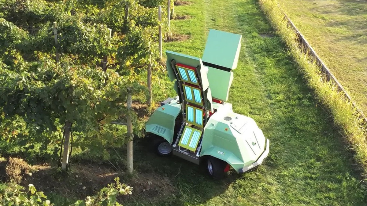 The ICARO X4 robot has adorable wings with a deadly effect on fungi and ...